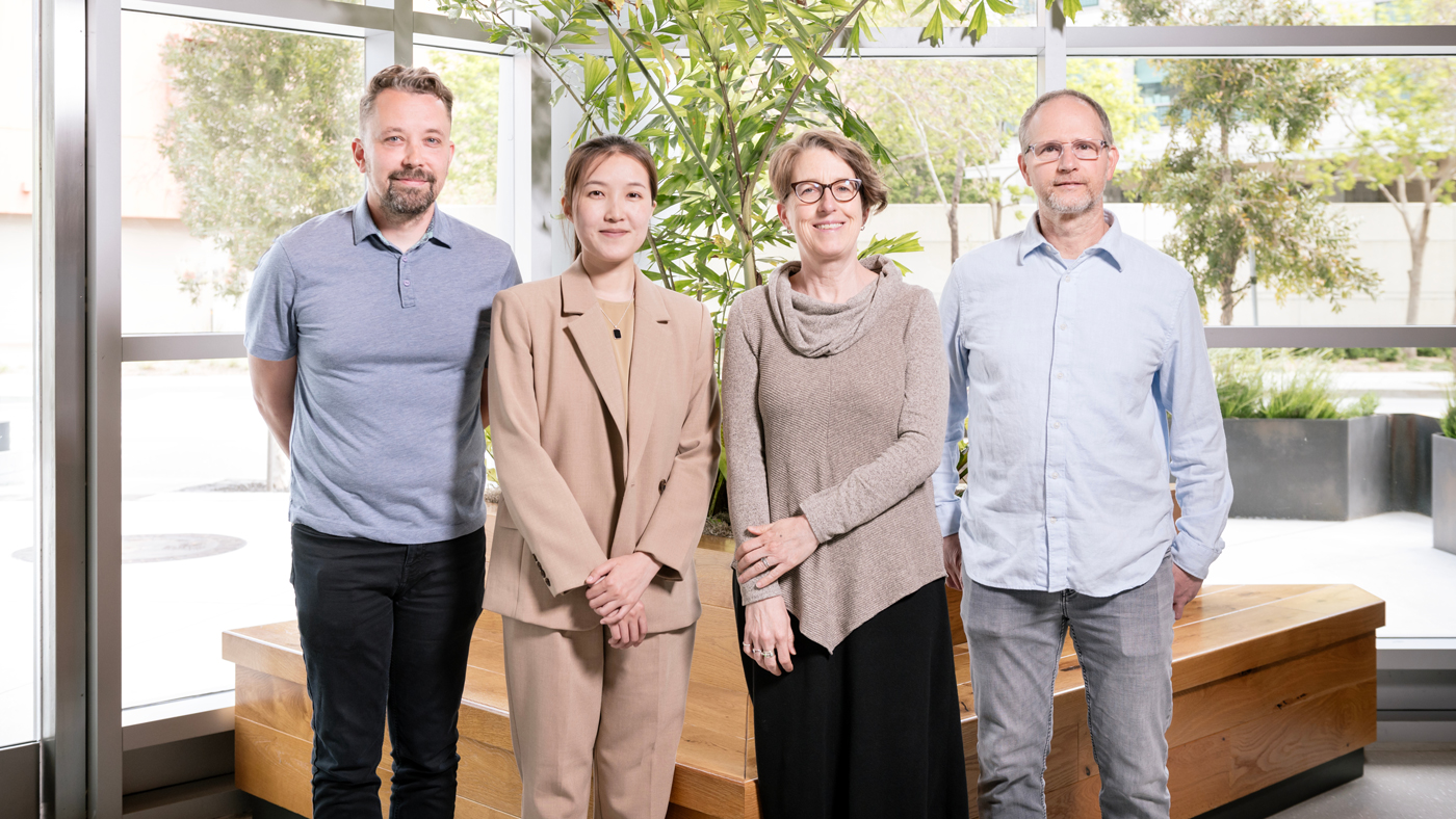 Scientists Leverage Machine Learning to Decode Gene Regulation in the ...